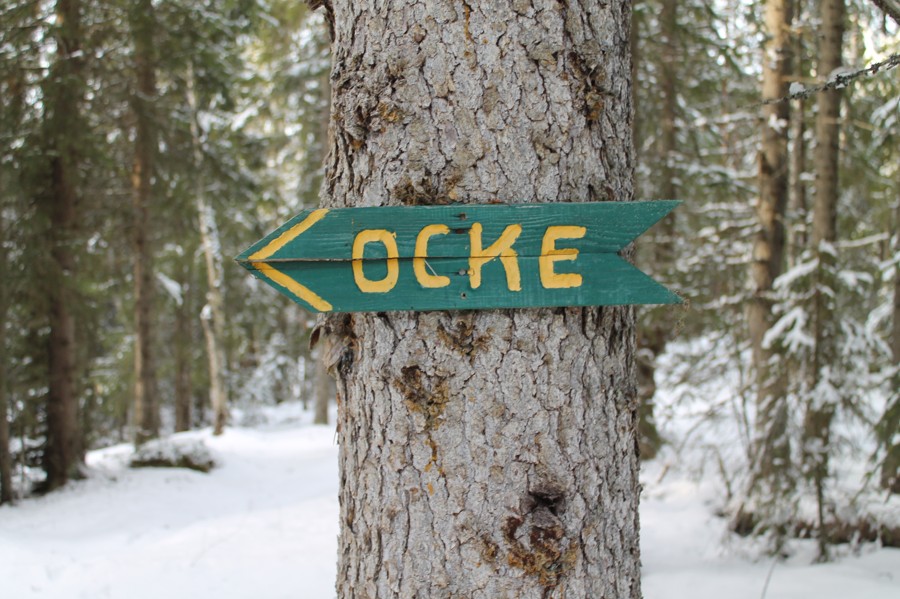 Ocke (hänvisning 2 från Semlaån)